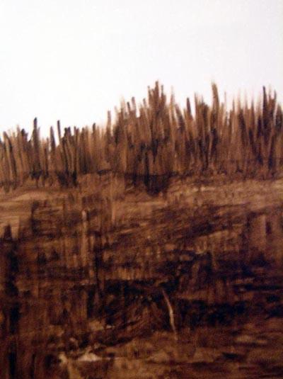 Isabel Rosas. Artista | ARTEINFORMADO