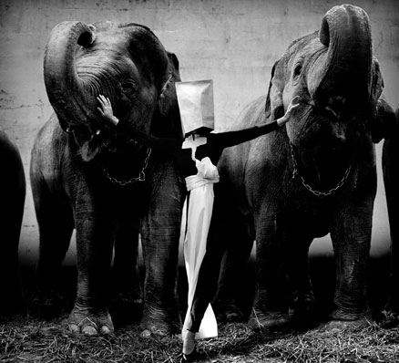 Nicolás Ferrando. Artista | ARTEINFORMADO