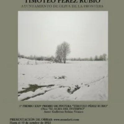 XXV Premio de Pintura ‘Timoteo Pérez Rubio’, Premio, Pintura, sep 2025 ...