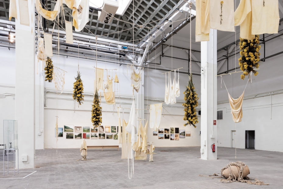 Otro museo es posible: «Fabular paisatges» en el Museu Habitat ...
