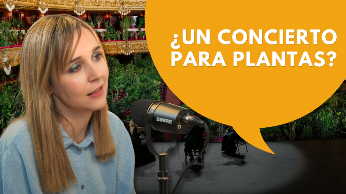 Arte en Diálogo | Ep. 123 - Blanca de la Torre: Curador. Arte en ...