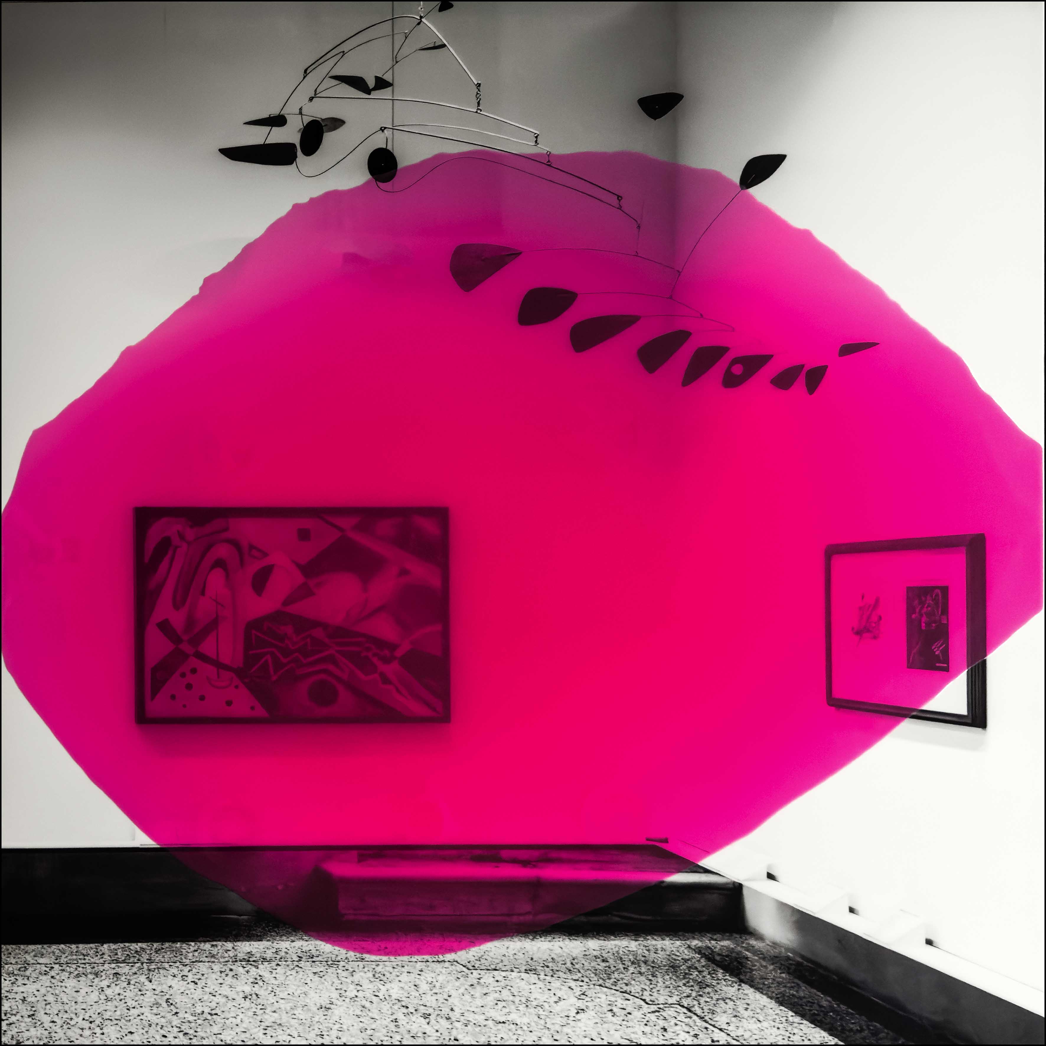Museum Hall (Pink) | Pedro Peña Gil