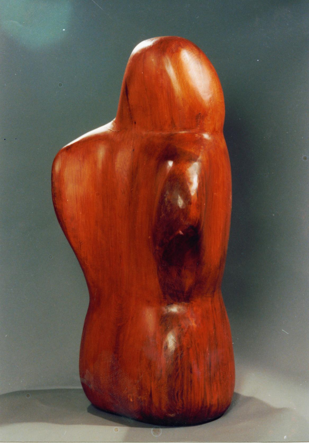 Forma icónica | Enrique Pedrero Muñoz