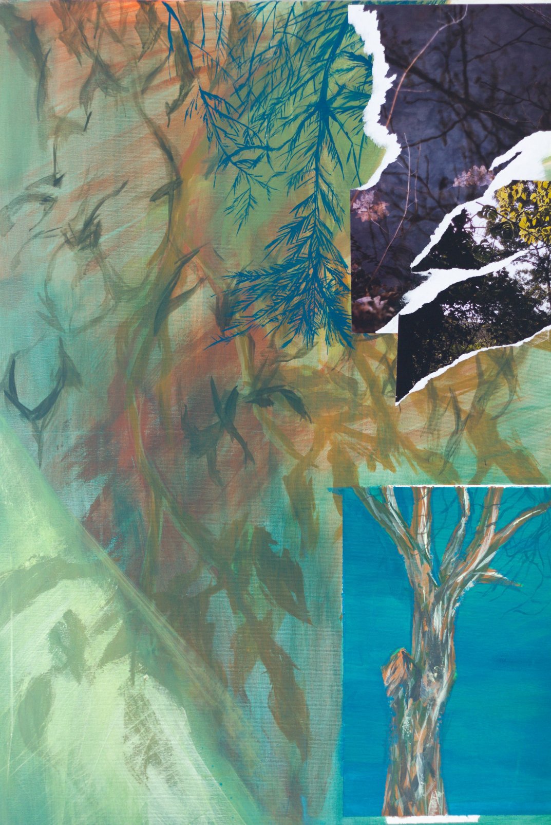 Solastalgia # 1 | Sebastian Gil Grisales