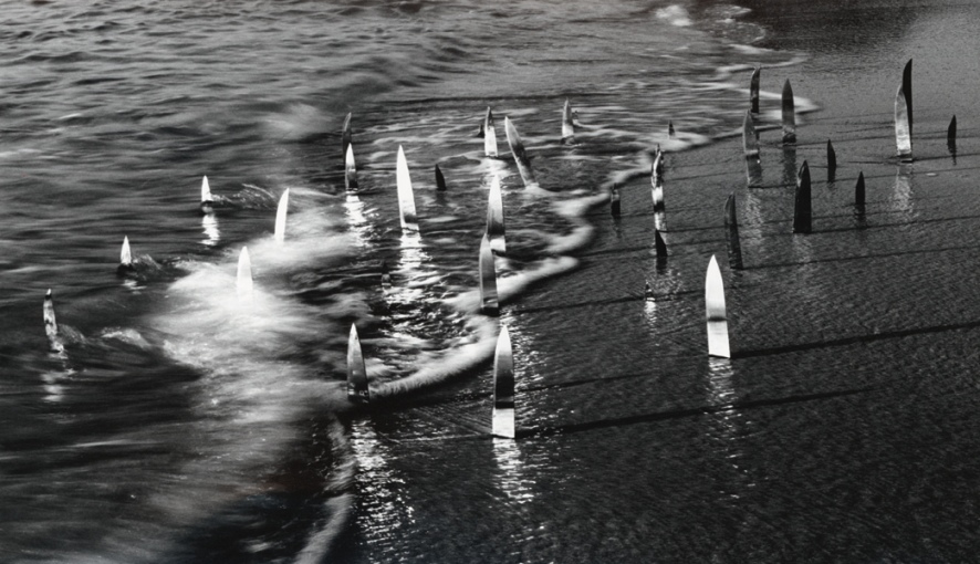 Aletas | María Arceo